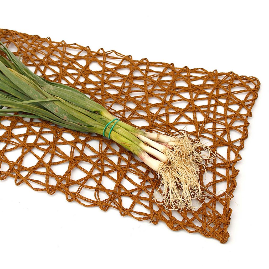 Verduras – Fresco de la Huerta