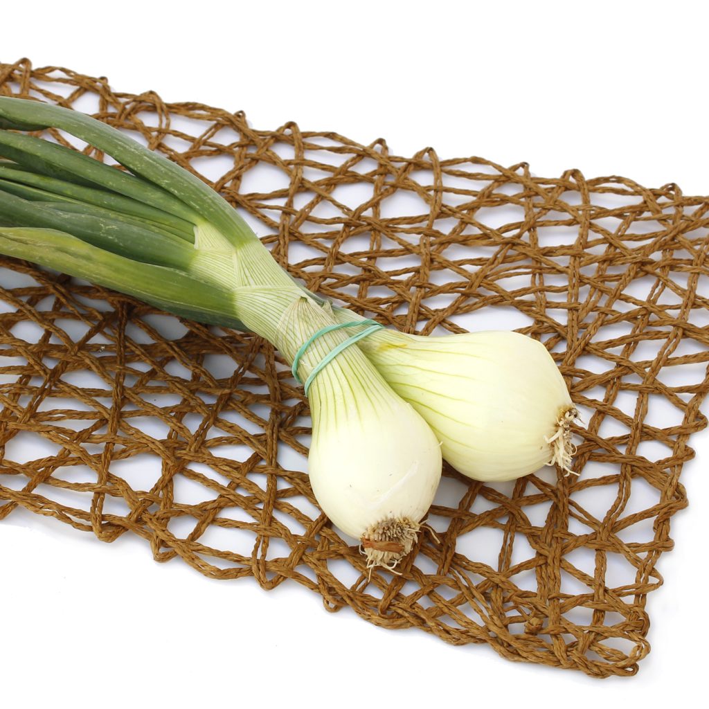 Verduras – Fresco de la Huerta