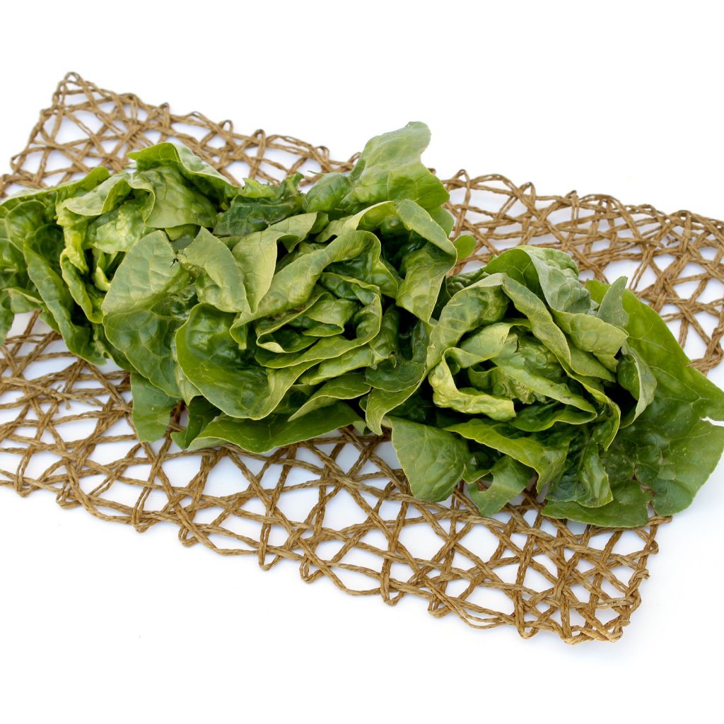 Lechuga baby / 3 unidades – Fresco de la Huerta