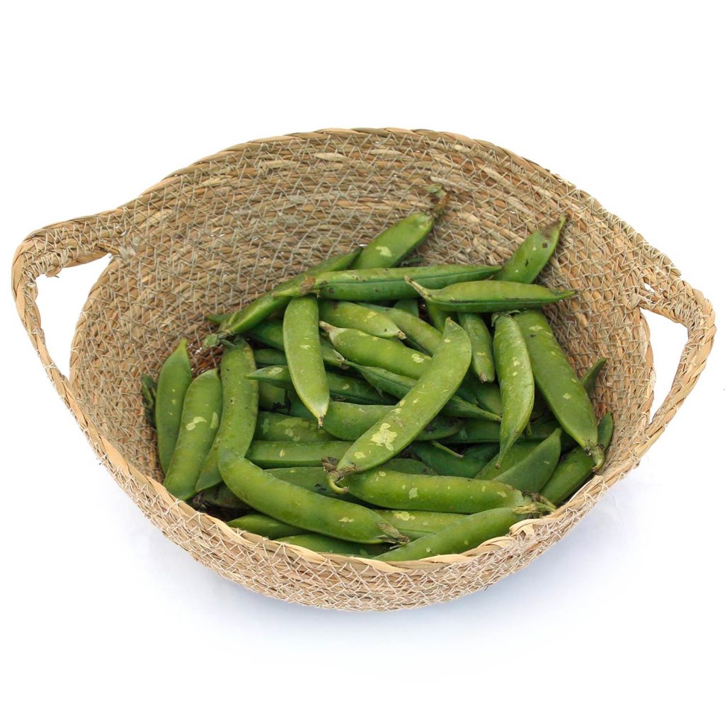 Verduras – Fresco de la Huerta