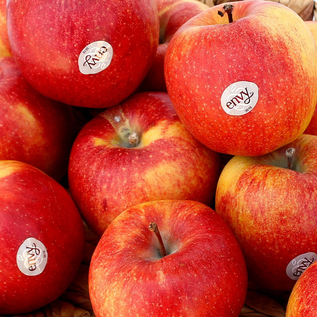 Manzana Envy – Fresco de la Huerta